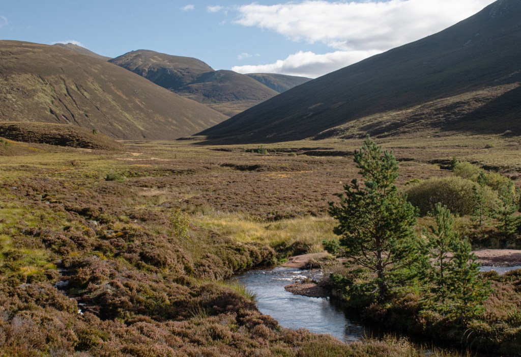 A kind of magic – The Other Side of Wild: Walking through Time and ...